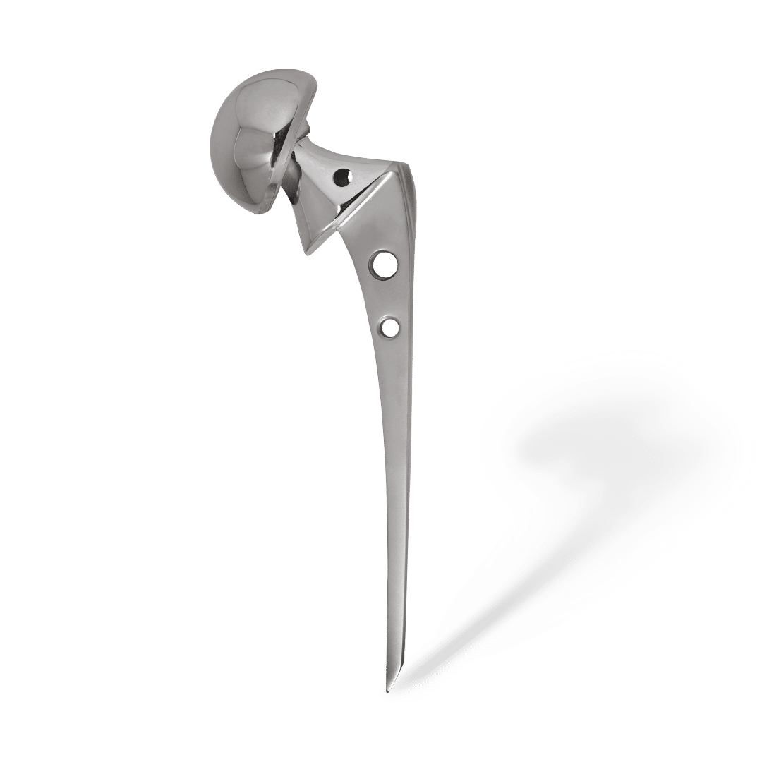 Bipolar Hip Replacement - EgiFix Medical