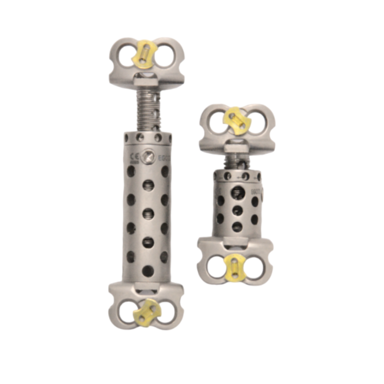 Expandable Cervical Corpectomy Cage - EgiFix Medical